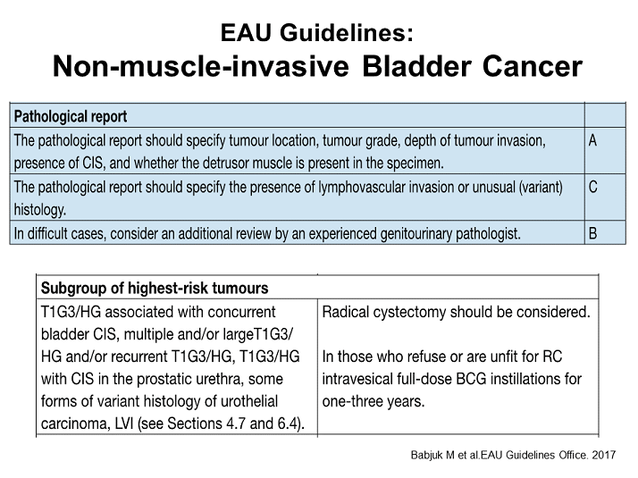 EAU Guidelines on Non-muscle-invasive Bladder Cancer - Activity One: Do Variants in Non-muscle ...