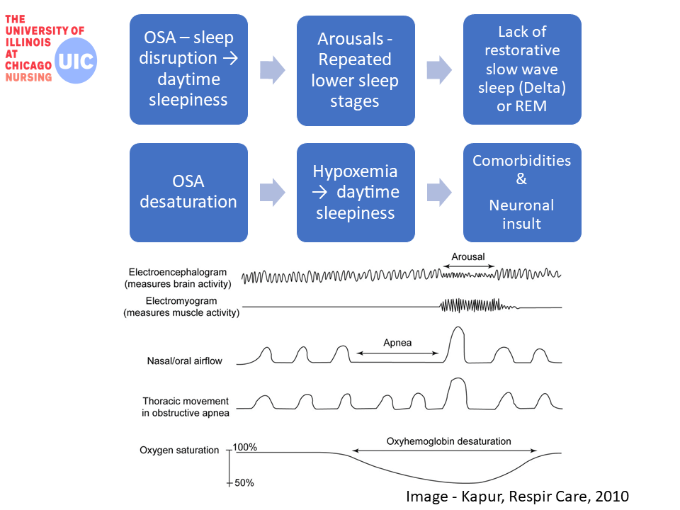 sleep disorders flow chart