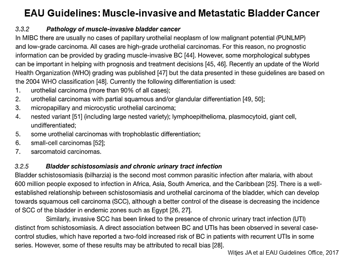 Guidelines on Muscle-invasive and Metastatic Bladder Cancer - Activity One: Do Variants in Non ...