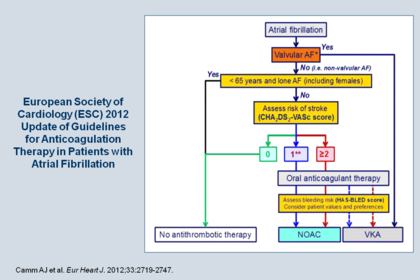 European Society of Cardiology (ESC) 2012 Update of Guidelines for ...