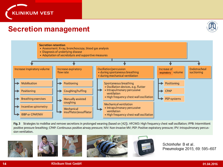Secretion Retention - Airway Secretion and Clearance in COPD - Activity ...
