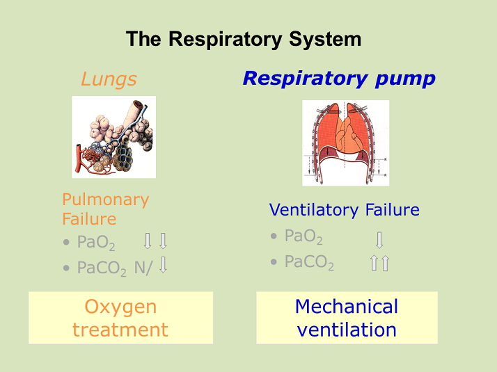 Oxygen Treatment vs Mechanical Ventilation - Noninvasive Ventilation to ...