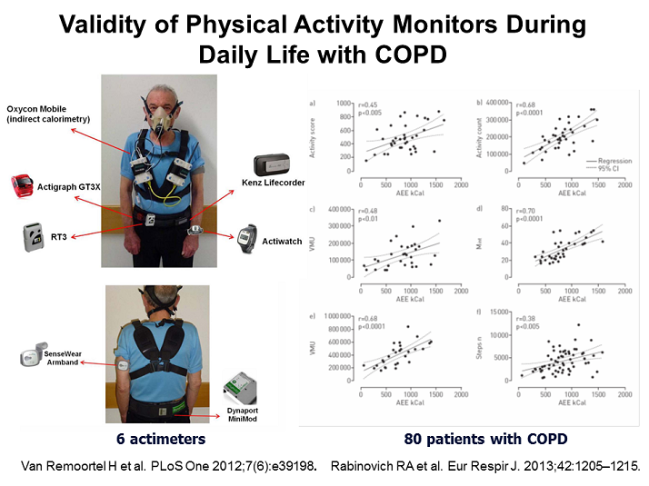 Stanford Seven-Day Physical Activity Recall Questionnaire in COPD - Telemedicine and Telehealth ...