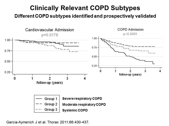 Clinically Relevant COPD Subtypes - Telemedicine and Telehealth Care in ...
