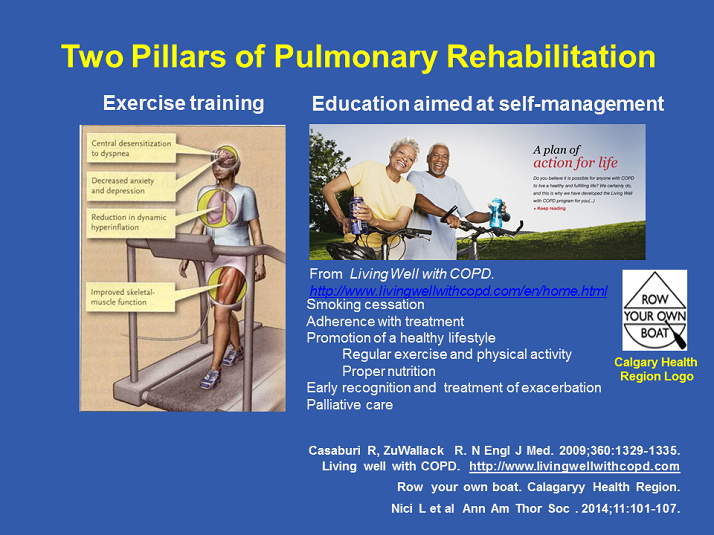 Two Pillars of Pulmonary Rehabilitation - Pulmonary Rehabilitation and ...