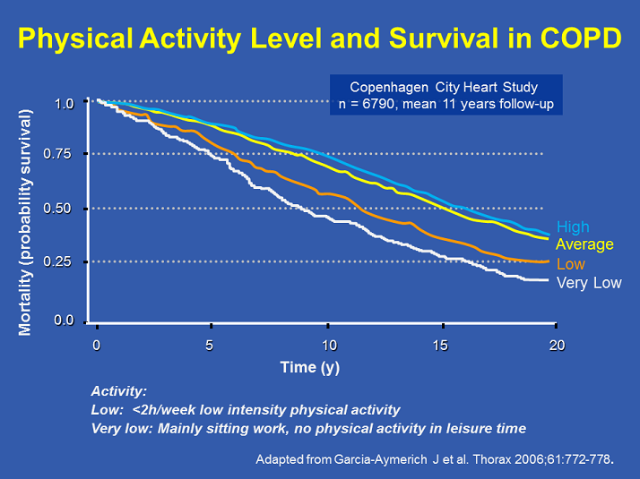 Physical Activity Level and Survival in COPD - Pulmonary Rehabilitation ...