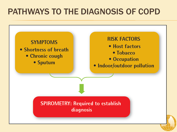 Pathways to the Diagnosis of COPD - Diagnosis and Assessment of COPD ...