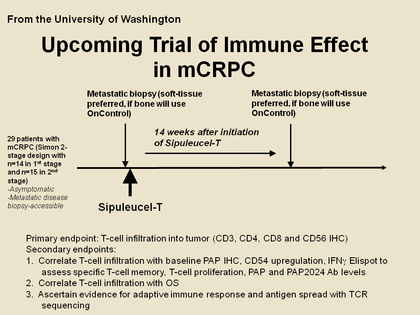 Advances in Treating mCRPC: Focus on Immunotherapy