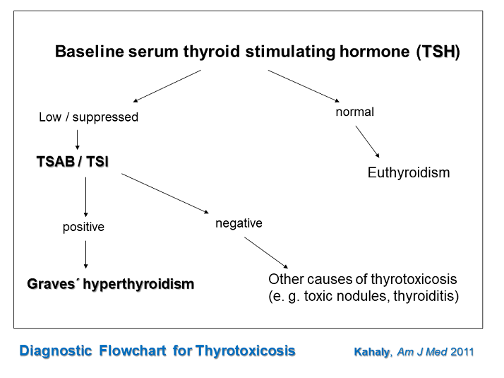 TSH Receptor Antibodies: Nomenclature, Functionality and Assay Comparison