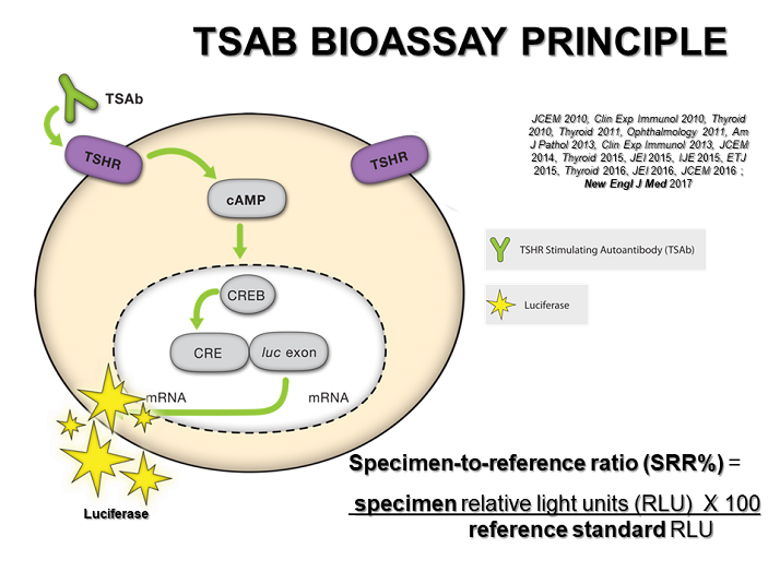 TSH Receptor Antibodies: Nomenclature, Functionality and Assay Comparison