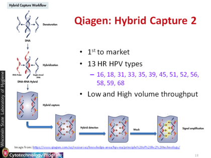 Qiagen: Hybrid Capture 2 - - Cervical Cancer & HPV Testing: How We Got Here