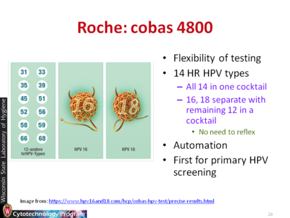 Roche: cobas 4800 - - Cervical Cancer & HPV Testing: How We Got Here