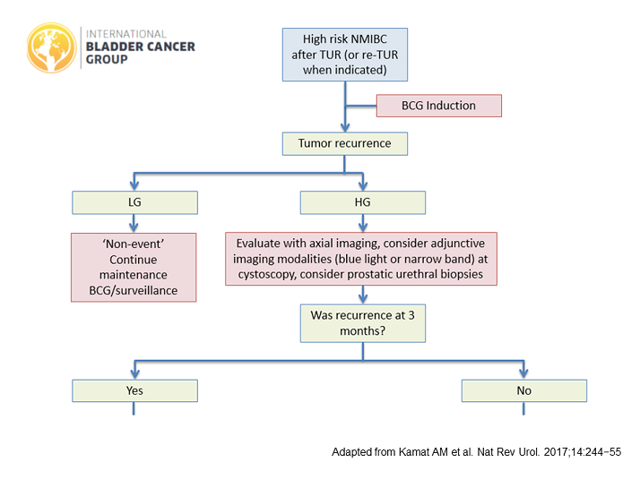 High-risk NMIBC after TUR - Activity Three: Understanding the Spectrum ...