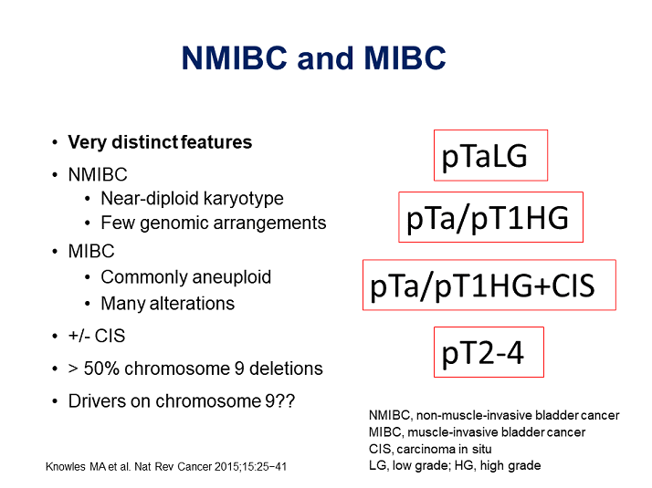 NMIBC and MIBC - Activity Five: What to do now that my patient's tumor ...