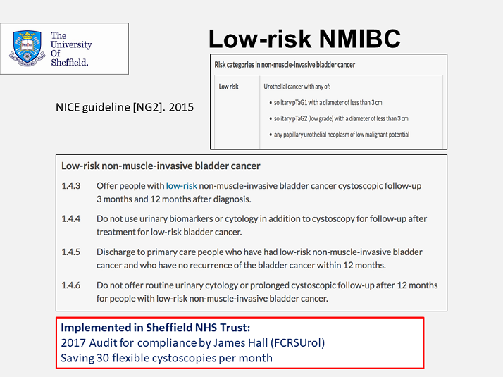 Risk Categories in non-muscle-invasive bladder cancer - Activity Eight ...