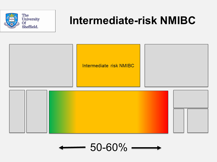 Intermediate risk NMI - Activity Eight: Optimal Surveillance for Follow ...