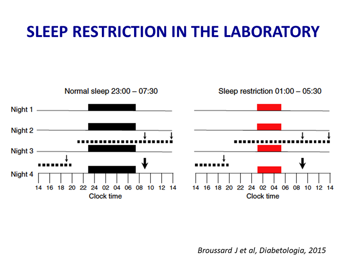 Educational Centre:Recognition of Sleep Quality, Sleep Disorders and ...