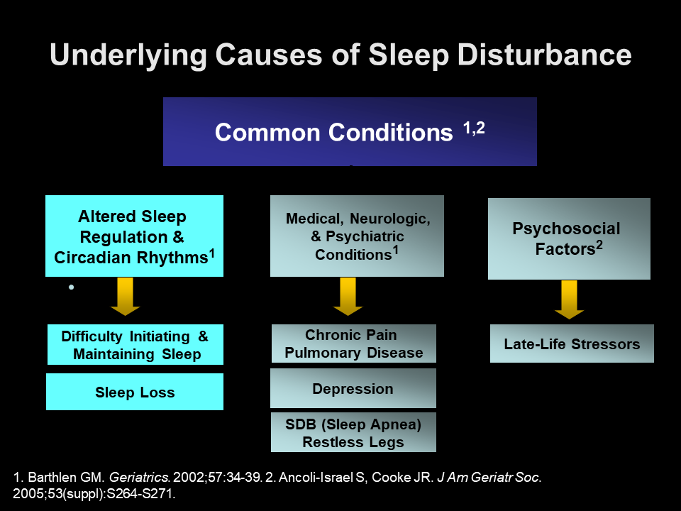 Educational Centre:Recognition of Sleep Quality, Sleep Disorders and ...