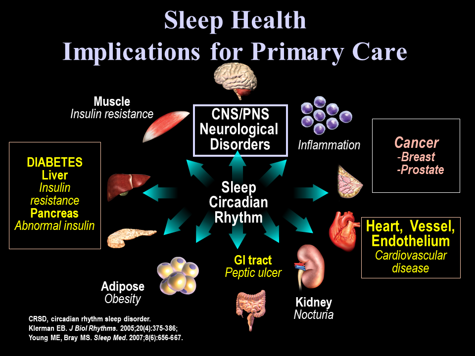 Educational Centre:Recognition of Sleep Quality, Sleep Disorders and ...