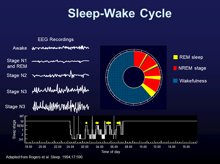 Educational Centre:Recognition of Sleep Quality, Sleep Disorders and ...