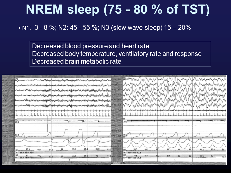 Educational Centre:Recognition of Sleep Quality, Sleep Disorders and ...