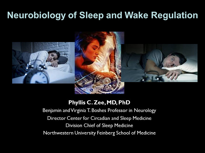 Educational Centre:Recognition of Sleep Quality, Sleep Disorders and ...