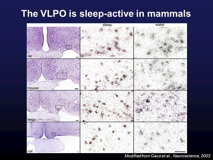 Educational Centre:Recognition of Sleep Quality, Sleep Disorders and ...