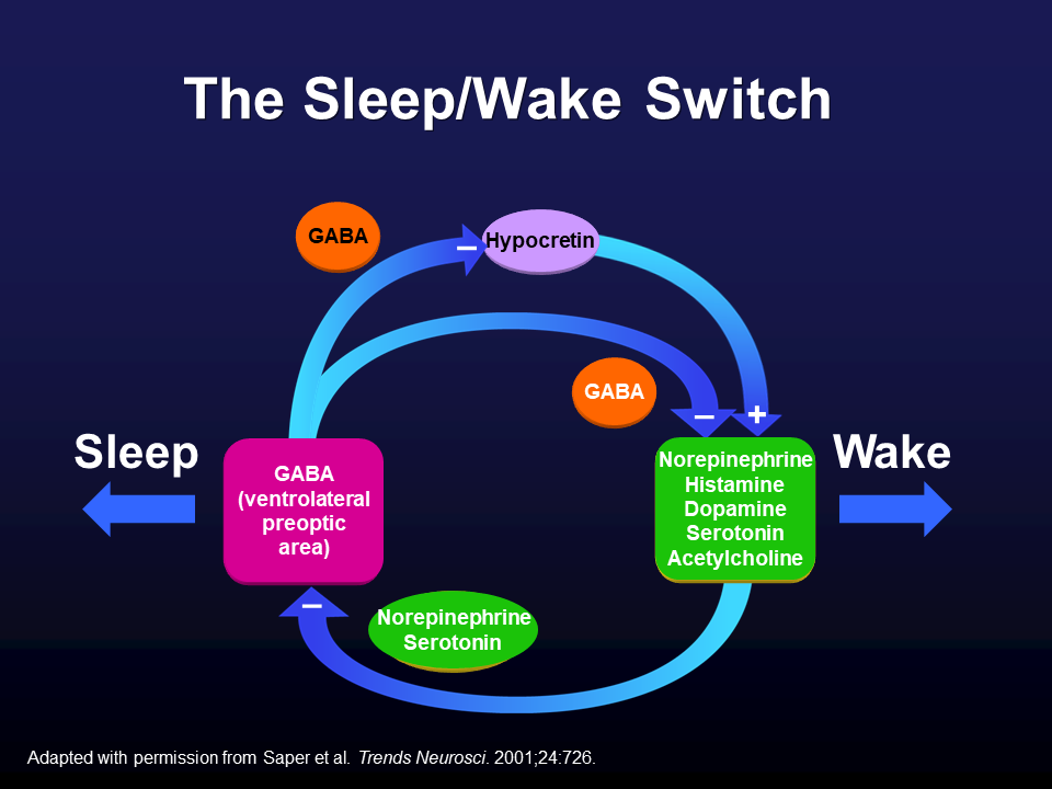 Educational Centre:Recognition of Sleep Quality, Sleep Disorders and ...