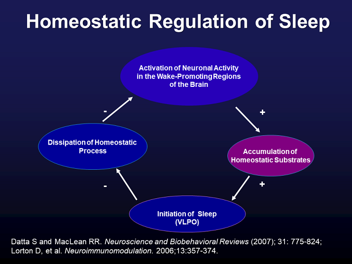 Educational Centre:Recognition of Sleep Quality, Sleep Disorders and ...