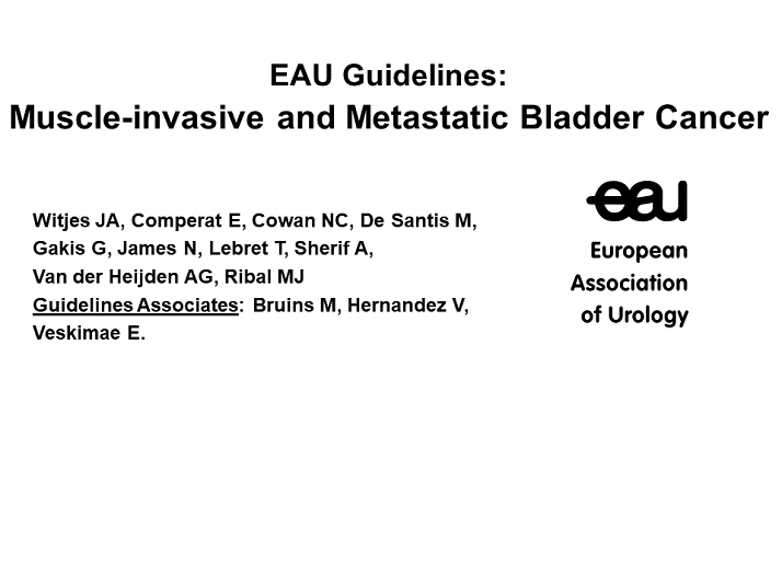 Pathological Report - Activity One: Do Variants in Non-muscle-invasive Bladder Cancer (NMIBC ...