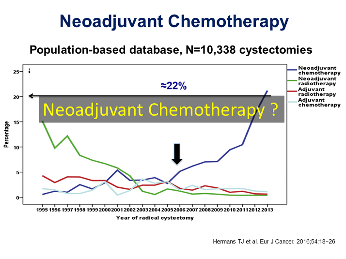 Neoadjuvant chemotherapy - Activity Five: What to do now that my ...