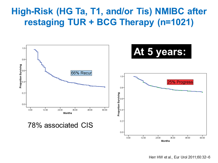 High-Risk (HG Ta, T1, and/or Tis) NMIBC after restaging TUR + BCG ...
