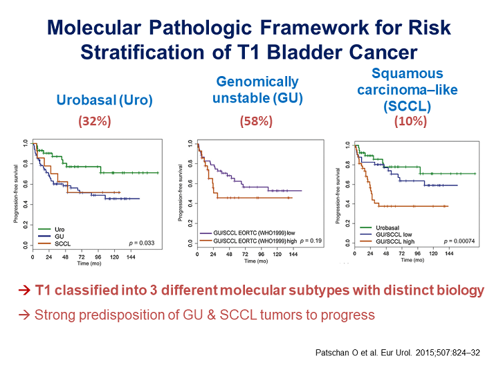 Molecular Pathologic Framework for Risk Stratification of T1 Bladder ...
