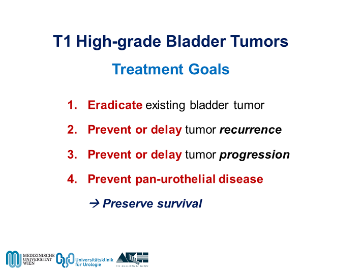 T1 HG BLADDER TUMORS - Activity Six: Management of T1 High-grade ...