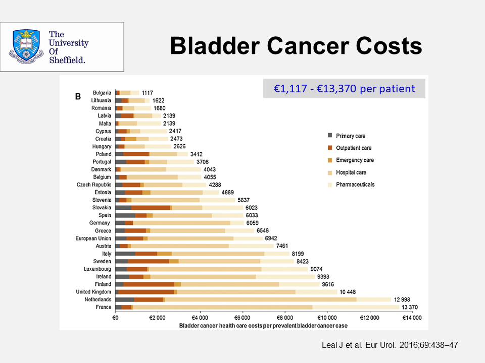 Educational Centre:Current Clinical Problems in Bladder Cancer