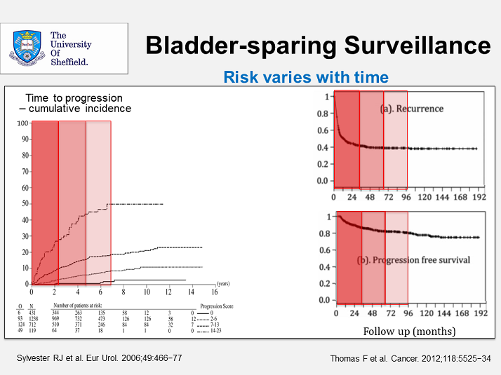 Bladder Sparing Surveillance - Activity Eight: Optimal Surveillance for ...