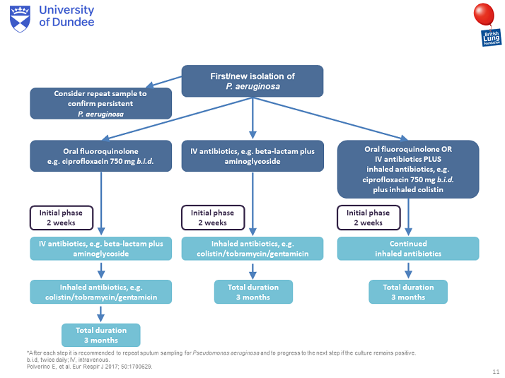 ERS Guidelines - Management of Bronchiectasis - Bronchiectasis: Best ...