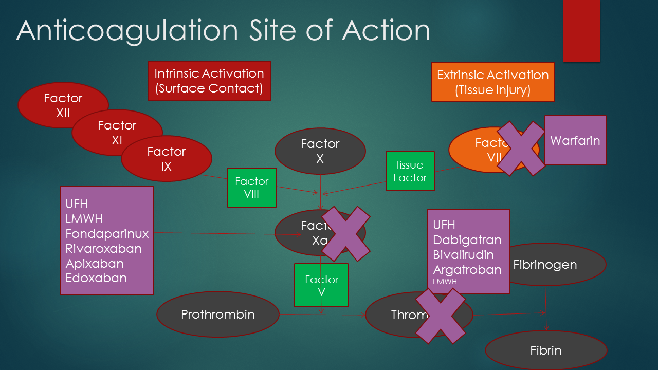 Evolving Practice: Role of Anti-Factor Xa Testing in Modern Anticoagulation