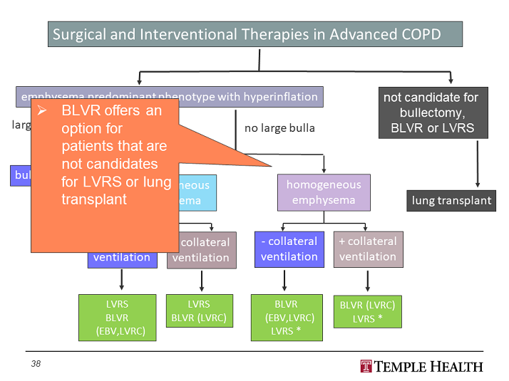Temple Lung Center: Learning Center