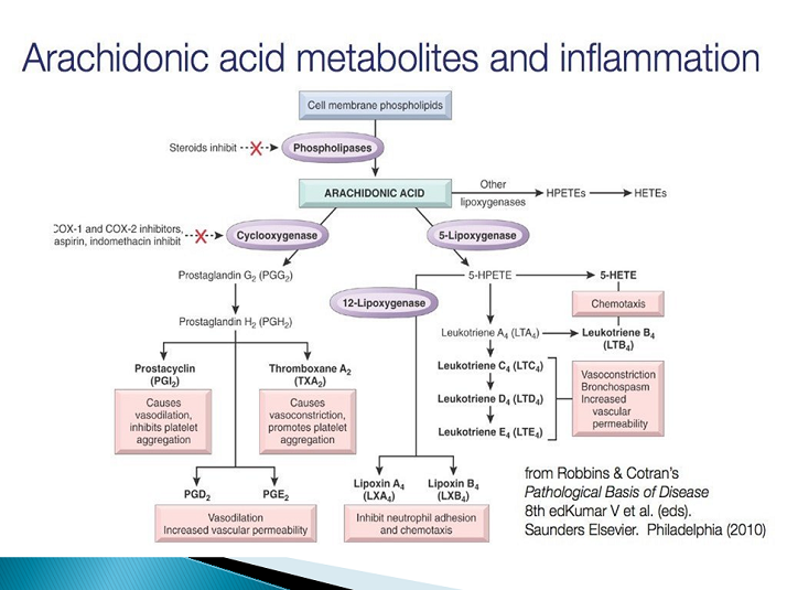 Arachidonic Acid Inflammation